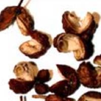Index of /images/product/indian_snacks